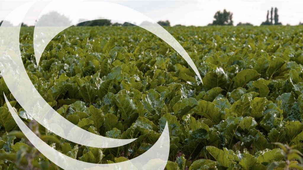 Arbitron FR - Avalaire